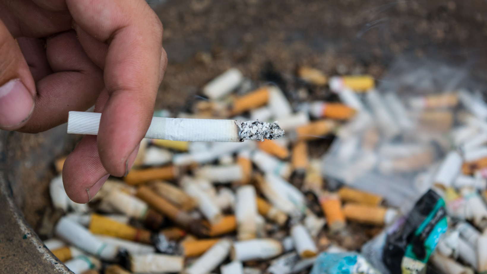 International Day for the Eradication of Poverty – ASH > Action on ...